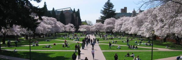 University of Washington Ranked #15 in the World