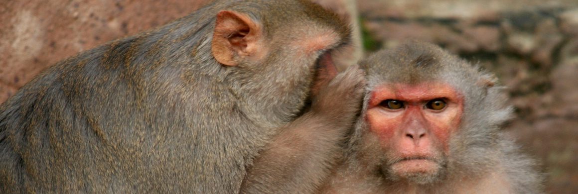 What Does Secrecy Do To You, Columbia Asks? | MetroMBA