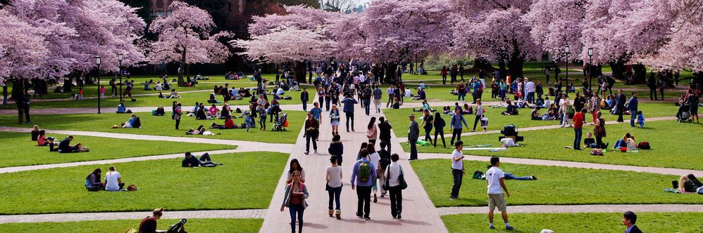 Your Guide To The University Of Washington Dual MBA | MetroMBA