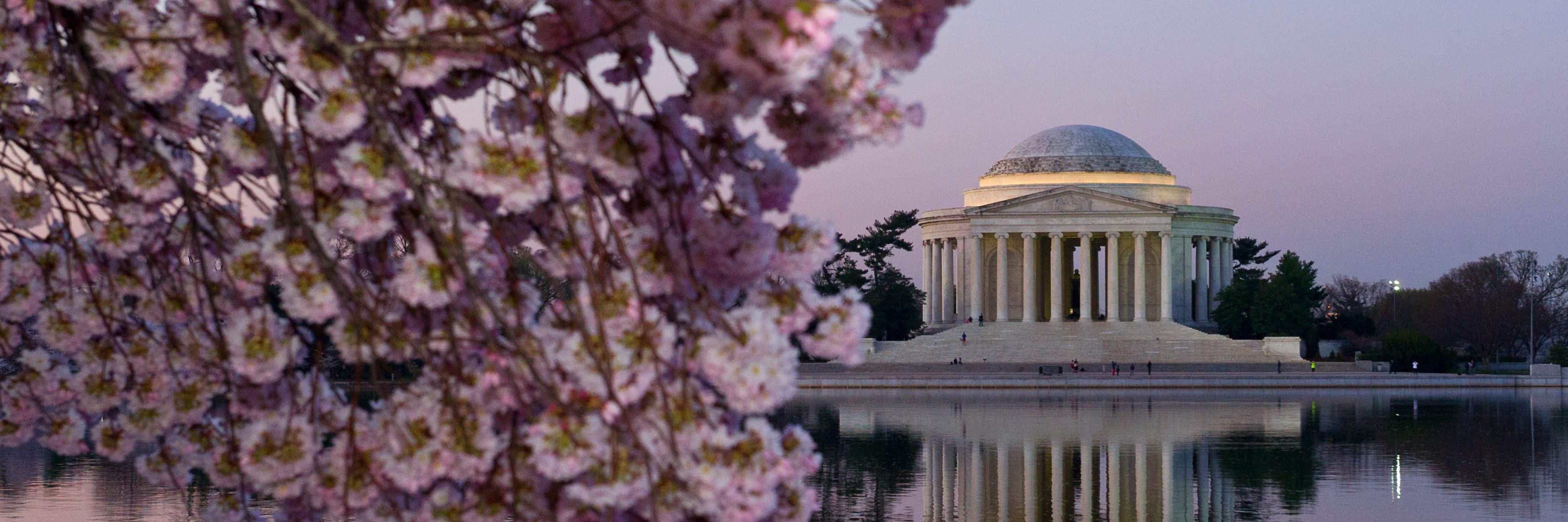 3 Washington DC Nonprofit MBAs You Need To Know | MetroMBA