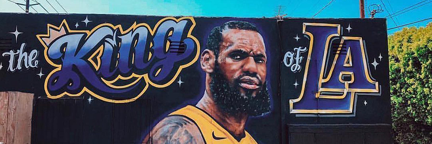 A UCLA Professor Explains the LeBron James Effect | MetroMBA