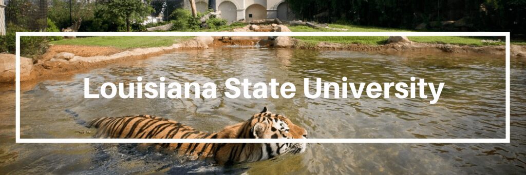 The Best Accelerated MBAs in the Southeast | MetroMBA