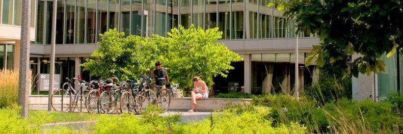 5 Questions with the UIC Liautaud MBA Admissions Team | MetroMBA