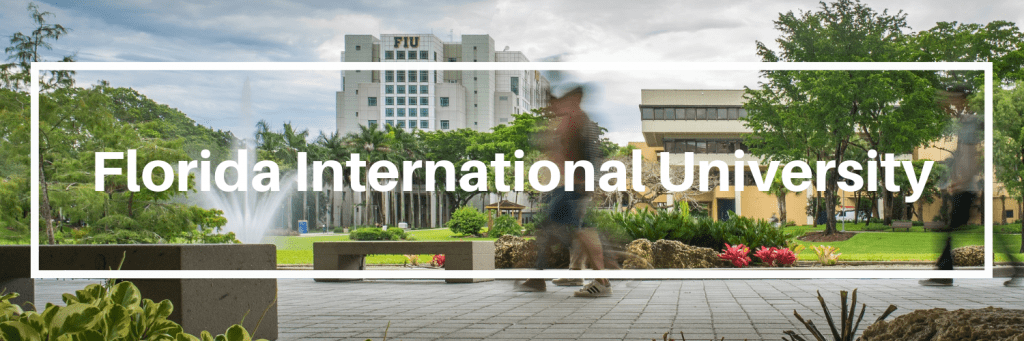 Best Florida Part-Time MBA Programs You Need to Know | MetroMBA