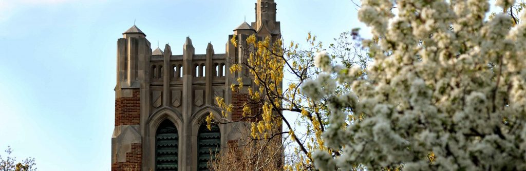 Michigan State University Eli Broad College of Business | MetroMBA