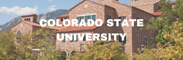 MBA Programs that Don't Require the GMAT or GRE | MetroMBA